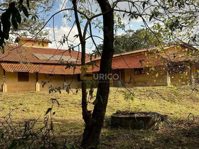 Terreno / Lote para Venda em Valinhos/SP Dois Córregos