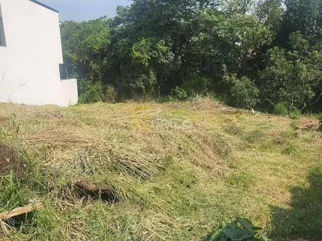 Terreno / Lote para Venda em Valinhos/SP Jardim Alto da Colina