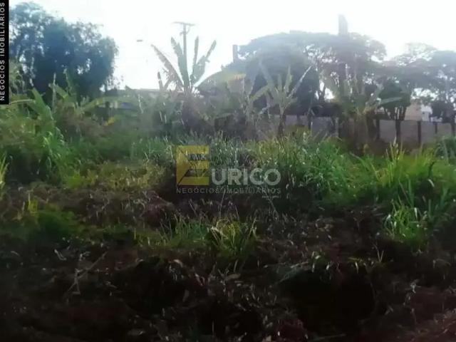 Terreno / Lote para Venda em Valinhos/SP Jardim Eliza