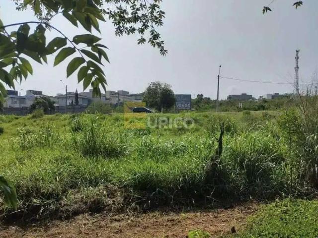 Terreno / Lote para Venda em Valinhos/SP Jardim Jurema