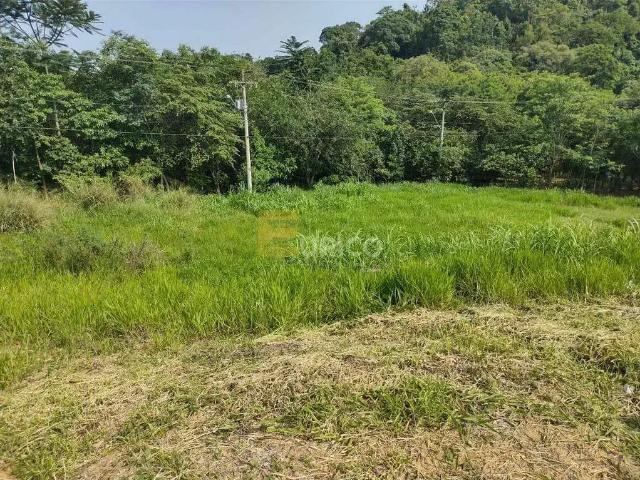 Terreno / Lote para Venda em Valinhos/SP Jardim Jurema