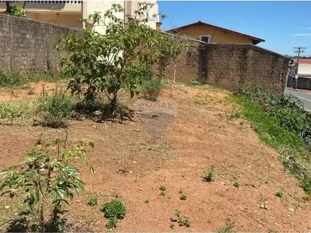 Terreno / Lote para Venda em Valinhos/SP Jardim Pinheiros