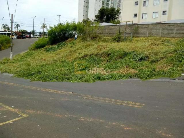 Terreno / Lote para Venda em Valinhos/SP Loteamento Pedra Verde
