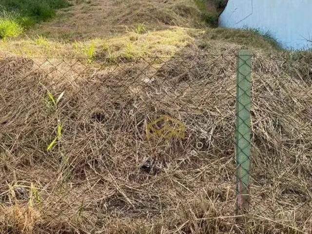 Terreno / Lote para Venda em Valinhos/SP Loteamento Residencial Ana Carolina
