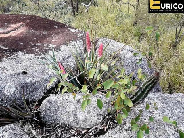 Terreno / Lote para Venda em Valinhos/SP Parque Valinhos