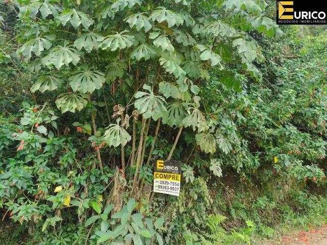 Terreno / Lote para Venda em Valinhos/SP Parque Valinhos