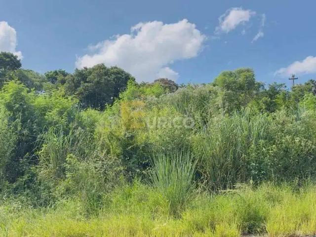 Terreno / Lote para Venda em Valinhos/SP Parque dos Cocais