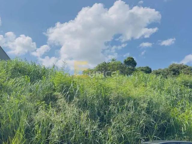 Terreno / Lote para Venda em Valinhos/SP Parque dos Cocais