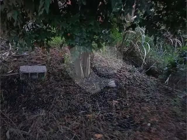 Terreno / Lote para Venda em Várzea Paulista/SP Sítio São José