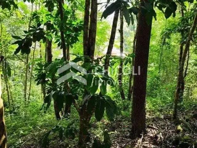 Terreno / Lote para Venda em Vargem Grande Paulista/SP Centro