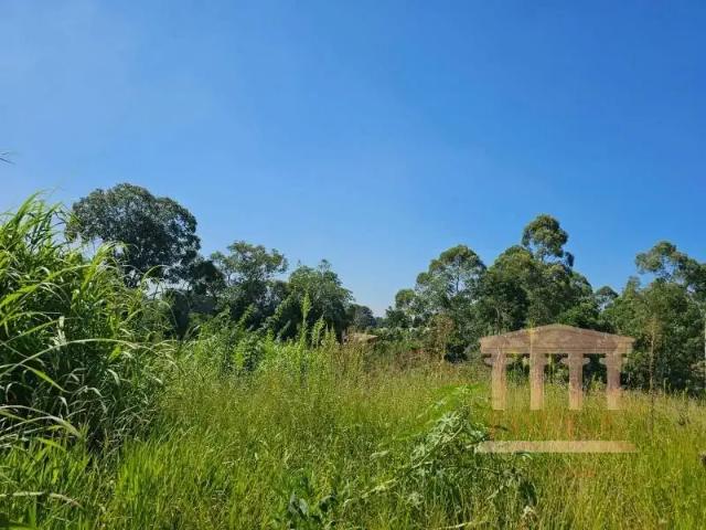 Terreno / Lote para Venda em Vargem Grande Paulista/SP Centro