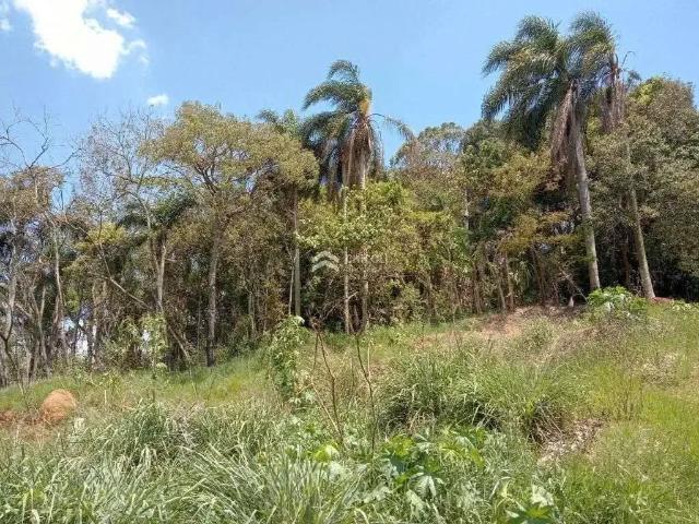 Terreno / Lote para Venda em Vargem Grande Paulista/SP Centro
