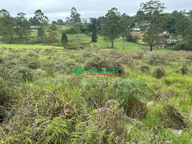 Terreno / Lote para Venda em Vargem Grande Paulista/SP Chácara Santa Mônica