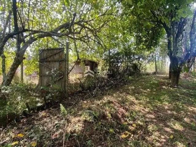 Terreno / Lote para Venda em Vargem Grande Paulista/SP Jardim Haras Bela Vista Gl Um