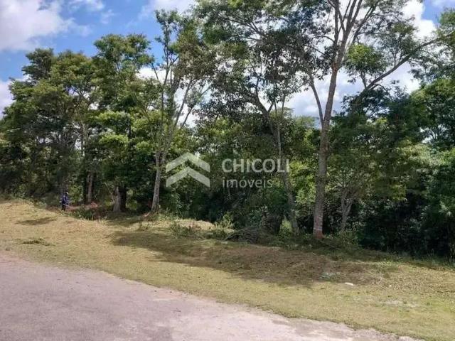 Terreno / Lote para Venda em Vargem Grande Paulista/SP Los Álamos