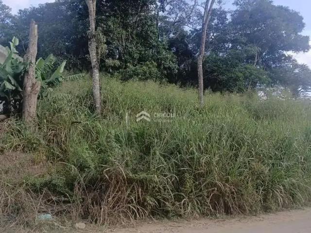 Terreno / Lote para Venda em Vargem Grande Paulista/SP Lagoa