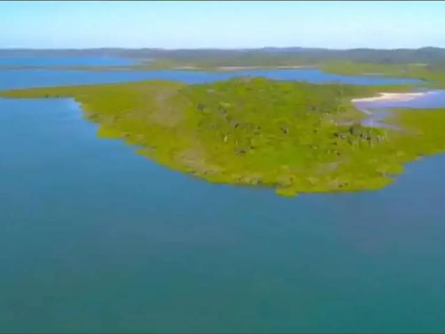 Terreno / Lote para Venda em Vera Cruz/BA Baiacu