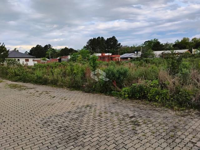 Terreno / Lote para Venda em Vera Cruz/RS Centro
