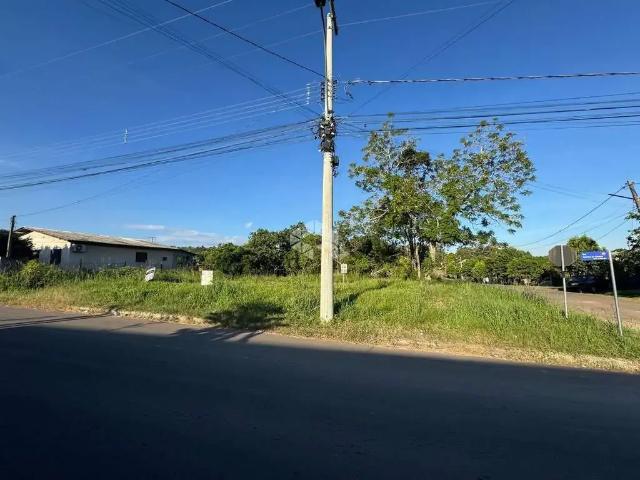 Terreno / Lote para Venda em Vera Cruz/RS Cipriano de Oliveira