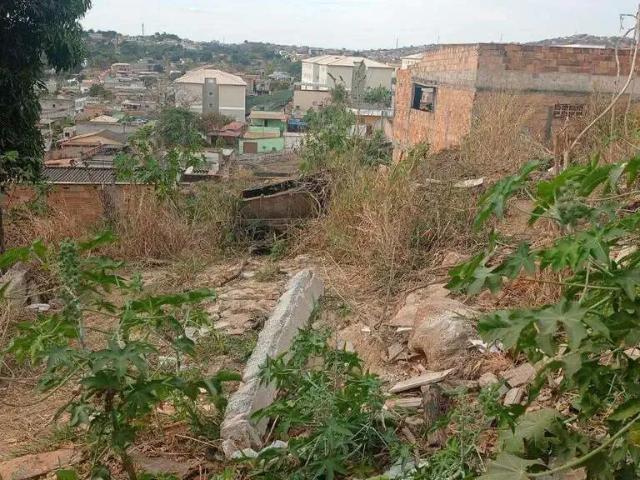 Terreno / Lote para Venda em Vespasiano/MG Nova Pampulha