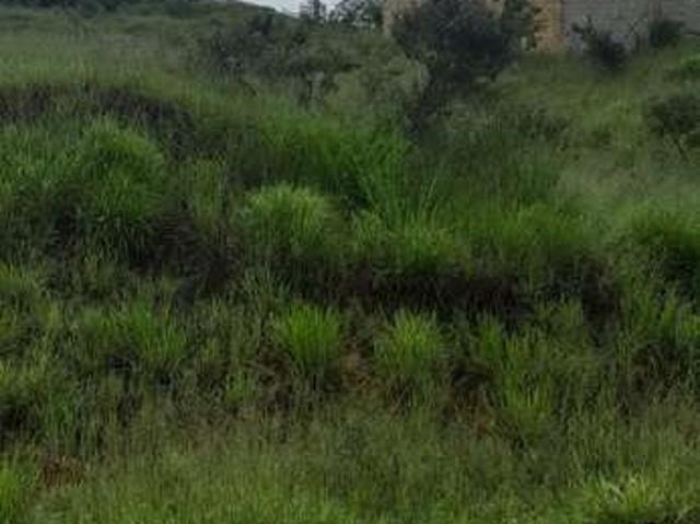 Terreno / Lote para Venda em Vespasiano/MG São Damião