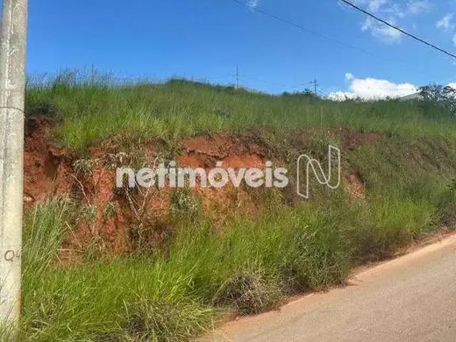 Terreno / Lote para Venda em Vespasiano/MG São Damião