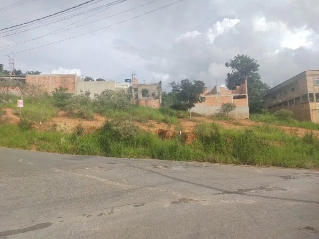 Terreno / Lote para Venda em Vespasiano/MG Santa Maria