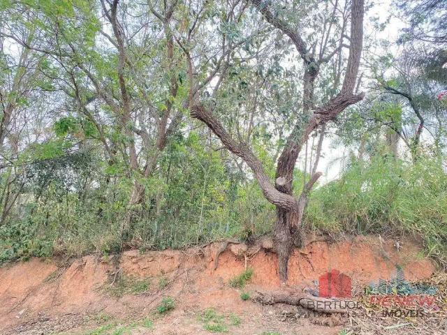 Terreno / Lote para Venda em Vinhedo/SP Colinas de San Diego