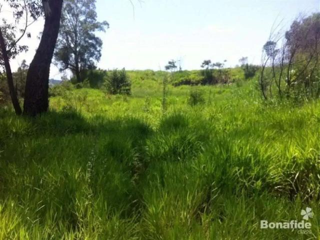 Terreno / Lote para Venda em Vinhedo/SP Capela