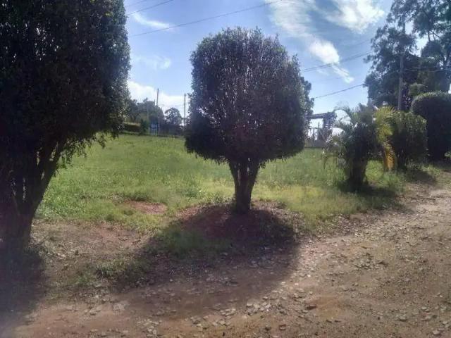 Terreno / Lote para Venda em Vinhedo/SP Área Rural de Vinhedo