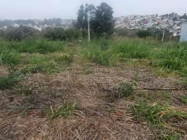 Terreno / Lote para Venda em Vinhedo/SP Bosque