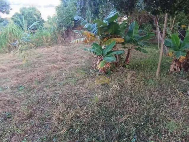 Terreno / Lote para Venda em Vinhedo/SP João XXIII