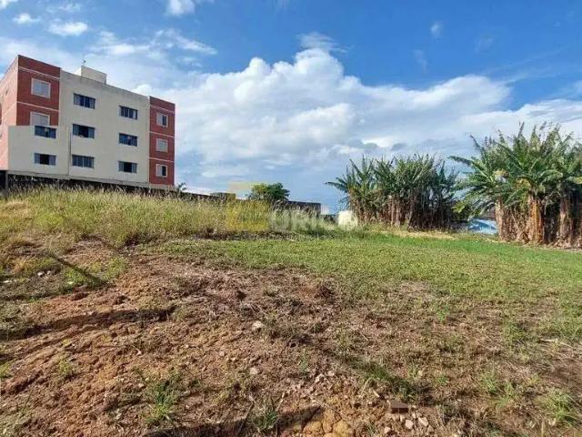 Terreno / Lote para Venda em Vinhedo/SP Jardim Itália