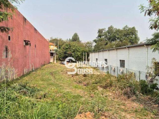 Terreno / Lote para Venda em Vinhedo/SP Santa Cândida