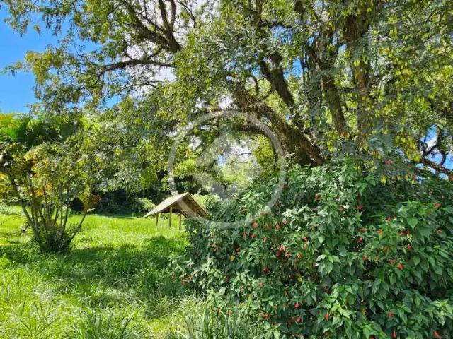 Terreno / Lote para Venda em Vinhedo/SP Santa Cândida
