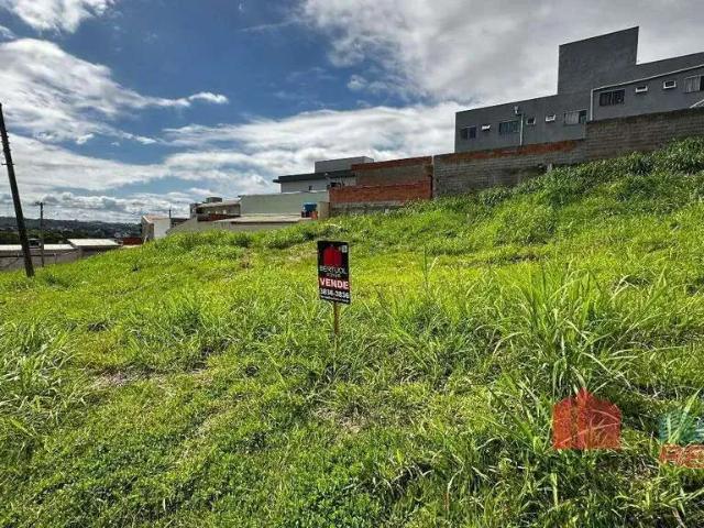 Terreno / Lote para Venda em Vinhedo/SP Parque Santa Rosa