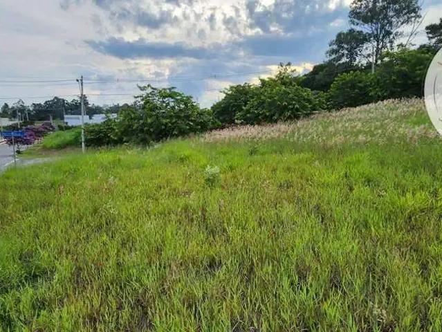 Terreno / Lote para Venda em Vinhedo/SP Pinheirinho