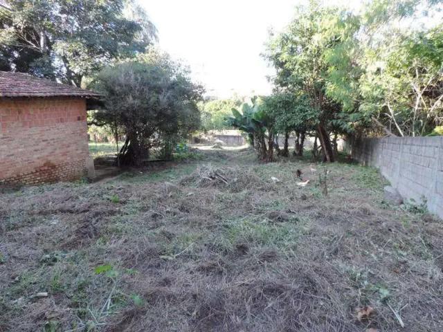 Terreno / Lote para Venda em Vinhedo/SP Pinheirinho