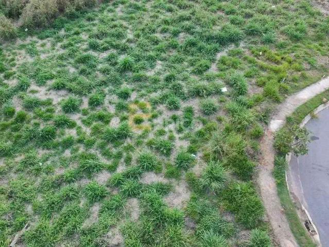 Terreno / Lote para Venda em Vinhedo/SP Pinheirinho