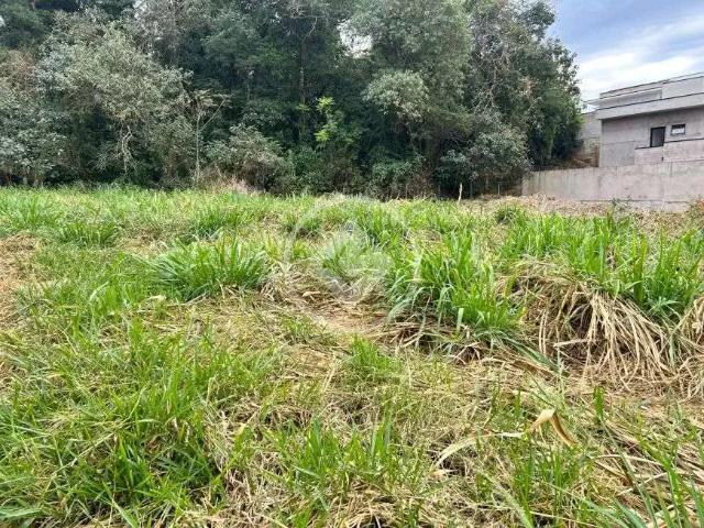 Terreno / Lote para Venda em Vinhedo/SP Pinheirinho