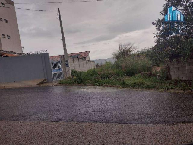 Terreno / Lote para Venda em Vinhedo/SP Vila Renascer