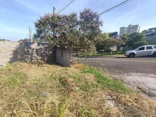 Terreno / Lote para Venda em Vinhedo/SP Vila Renascer