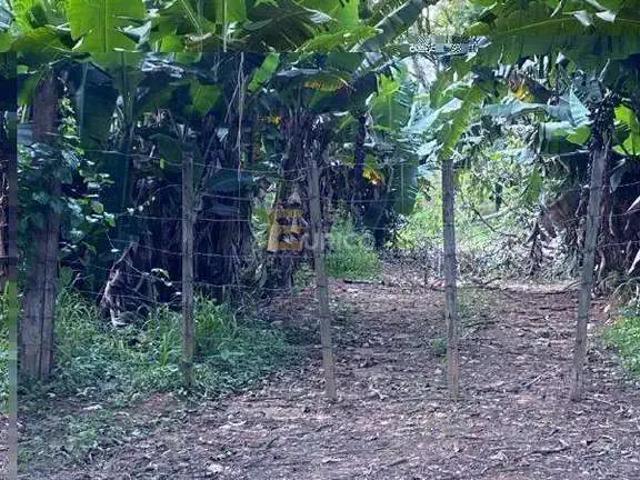 Terreno / Lote para Venda em Vinhedo/SP Vista Alegre