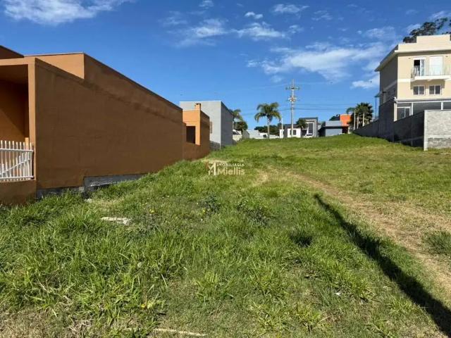 Terreno / Lote para Venda em Viamão/RS Tarumã