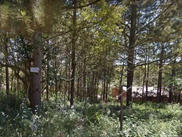 Terreno / Lote para Venda em Viamão/RS Tarumã