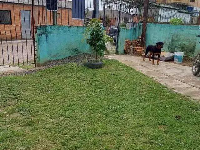 Terreno / Lote para Venda em Viamão/RS Tarumã