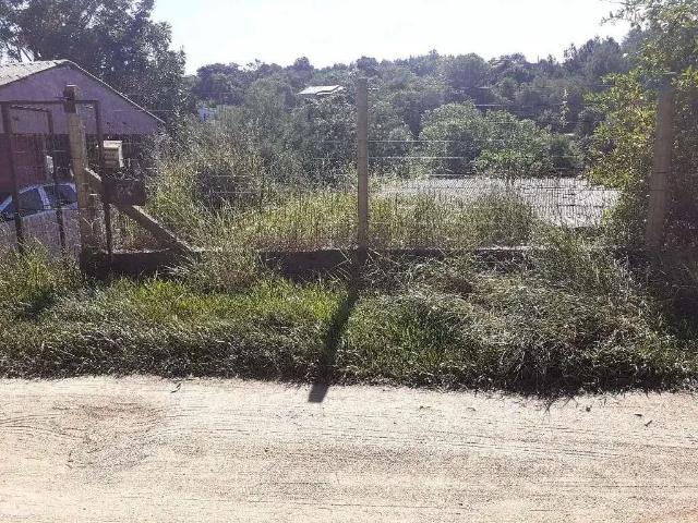 Terreno / Lote para Venda em Viamão/RS Tarumã