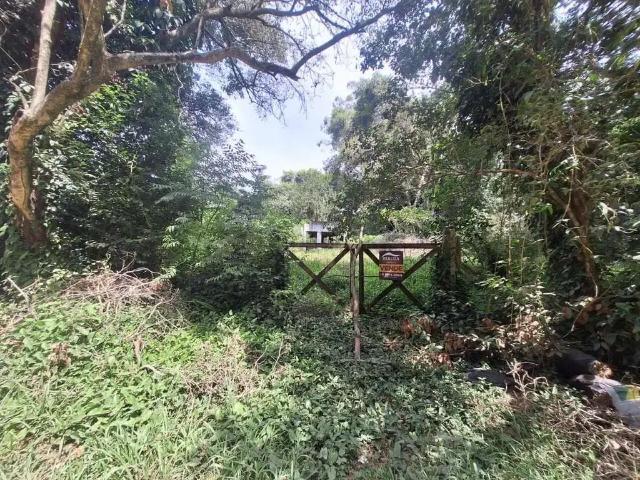 Terreno / Lote para Venda em Viamão/RS Tarumã