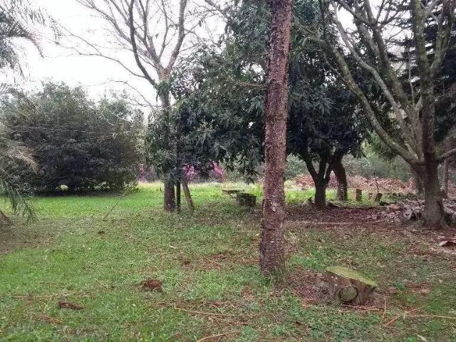 Terreno / Lote para Venda em Viamão/RS Tarumã