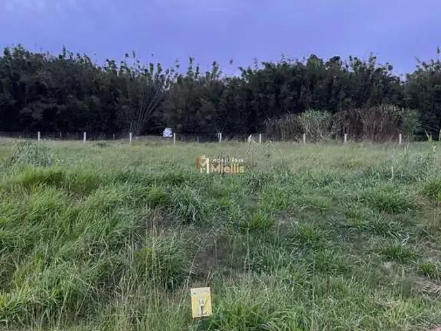 Terreno / Lote para Venda em Viamão/RS Tarumã